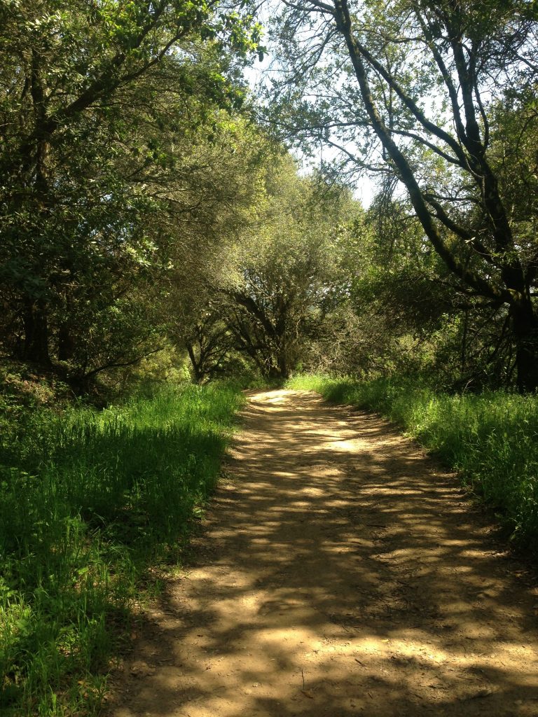 Nicole Beasley Ph.D.