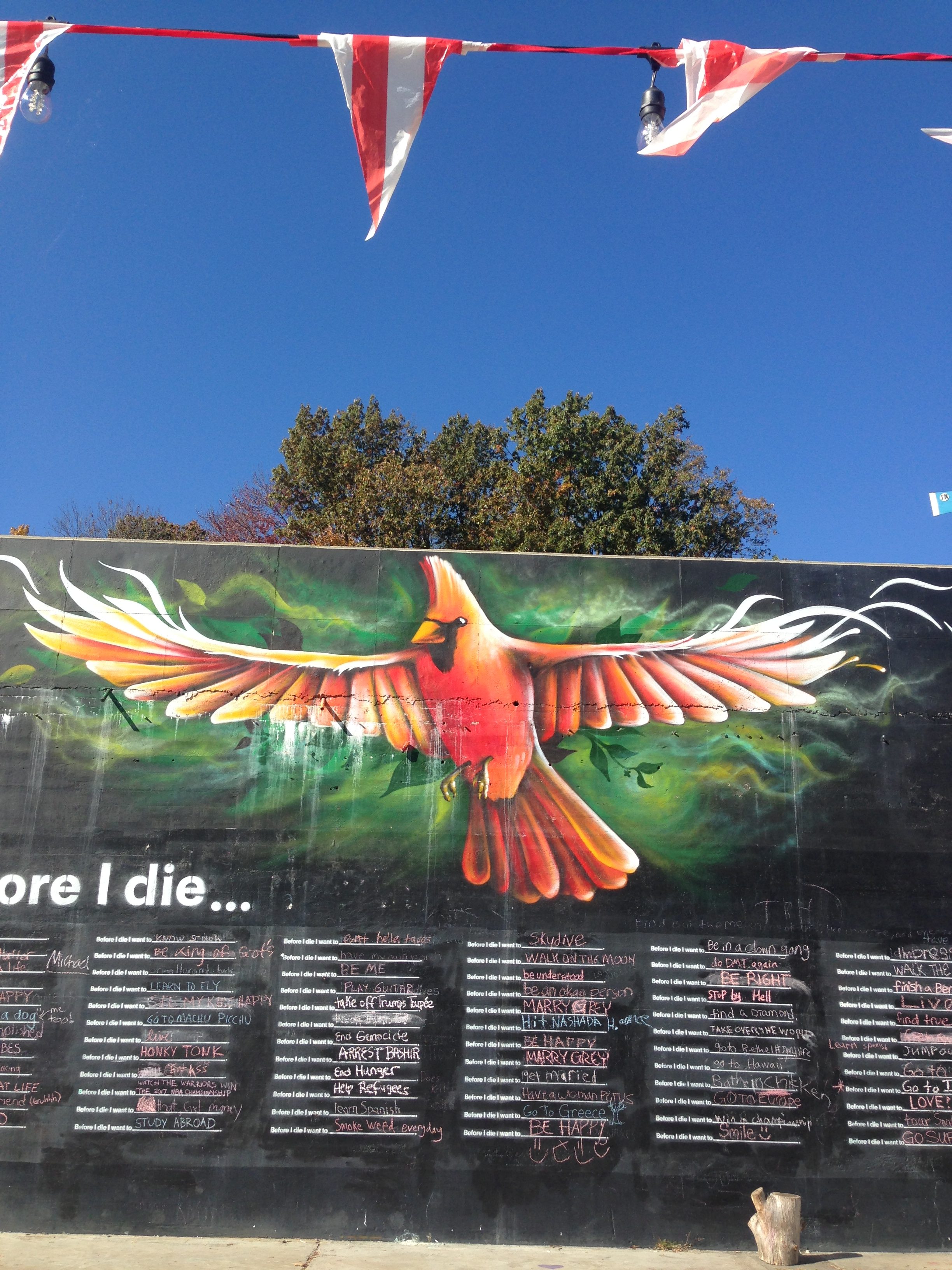 Planting Seeds! - Nicole Beasley Ph.D.